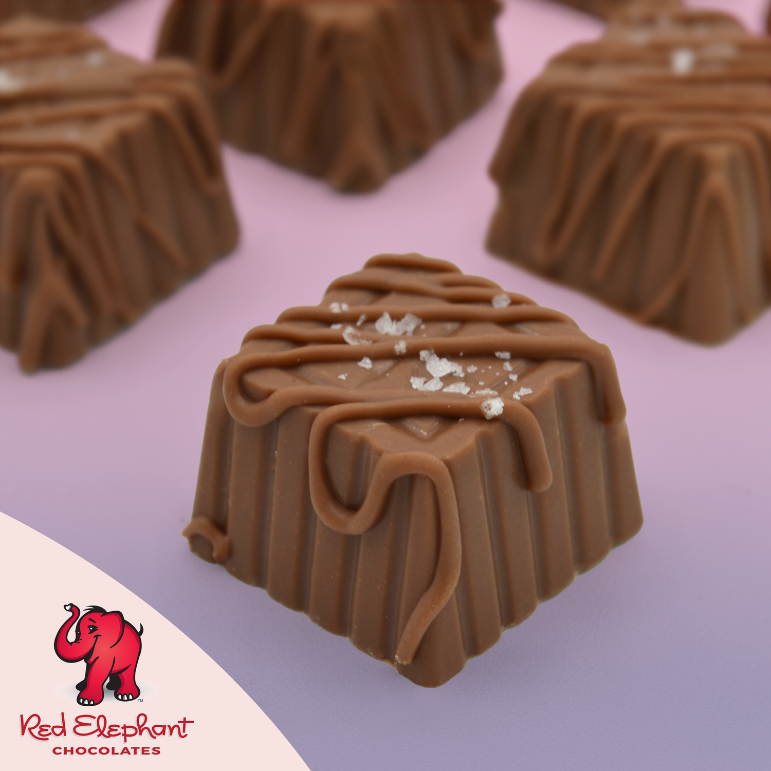 Concordia Red Elephant Chocolates