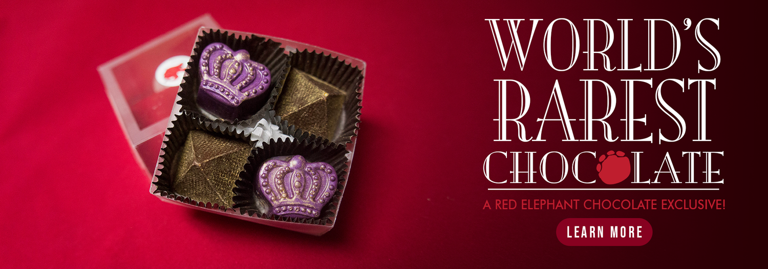 Concordia Red Elephant Chocolates
